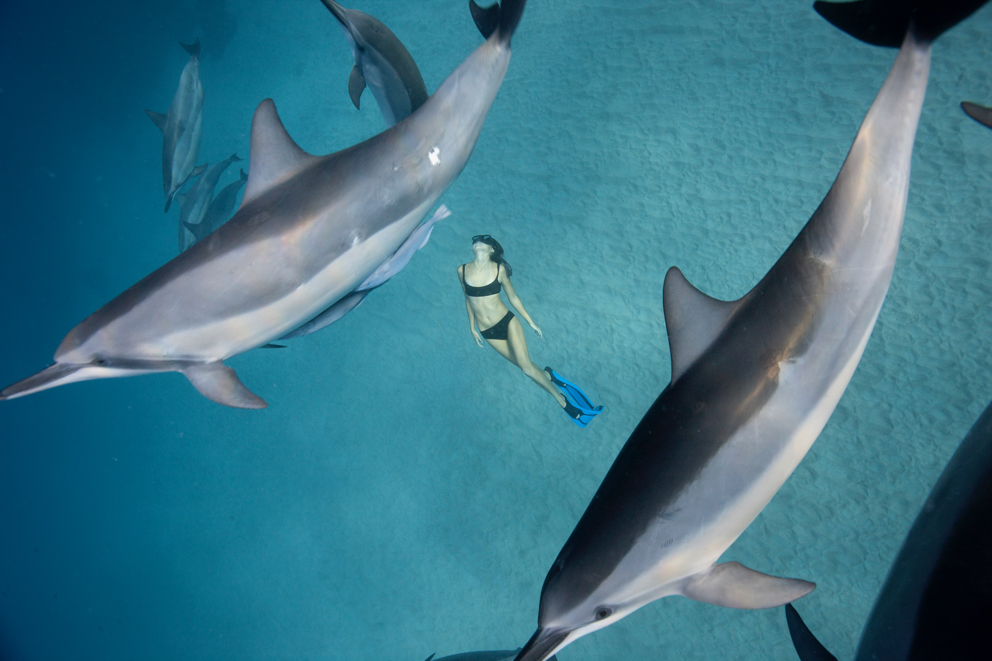 Pratiquez le yoga et l’apnée méditative en mer Rouge - Happinez